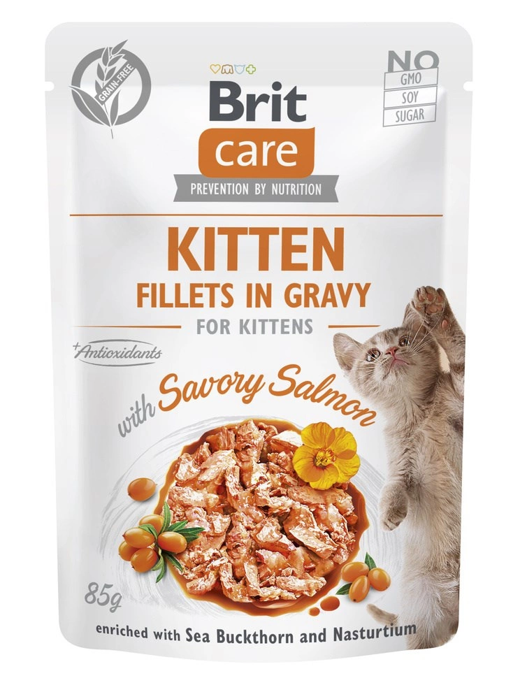 BRIT CARE Cat Kitten Fillets in Bratensoße mit herzhaftem Lachs ...